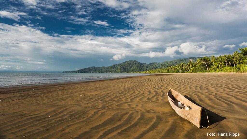 ¿Cómo se percibe la realidad en el Pacífico? | Universidad de los Andes
