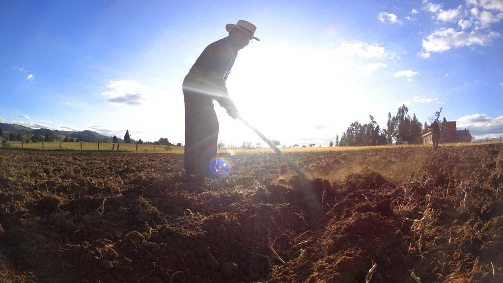 Antropoceno: arte de vivir en un mundo deteriorado | Uniandes