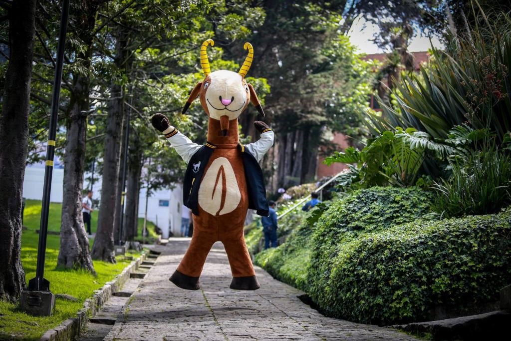 Séneca y su nueva imagen | Universidad de los Andes